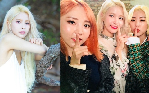 MAMAMOO頌樂素顏直播竟被問：「你是誰?」成員毒舌留言讓網友全笑翻XD